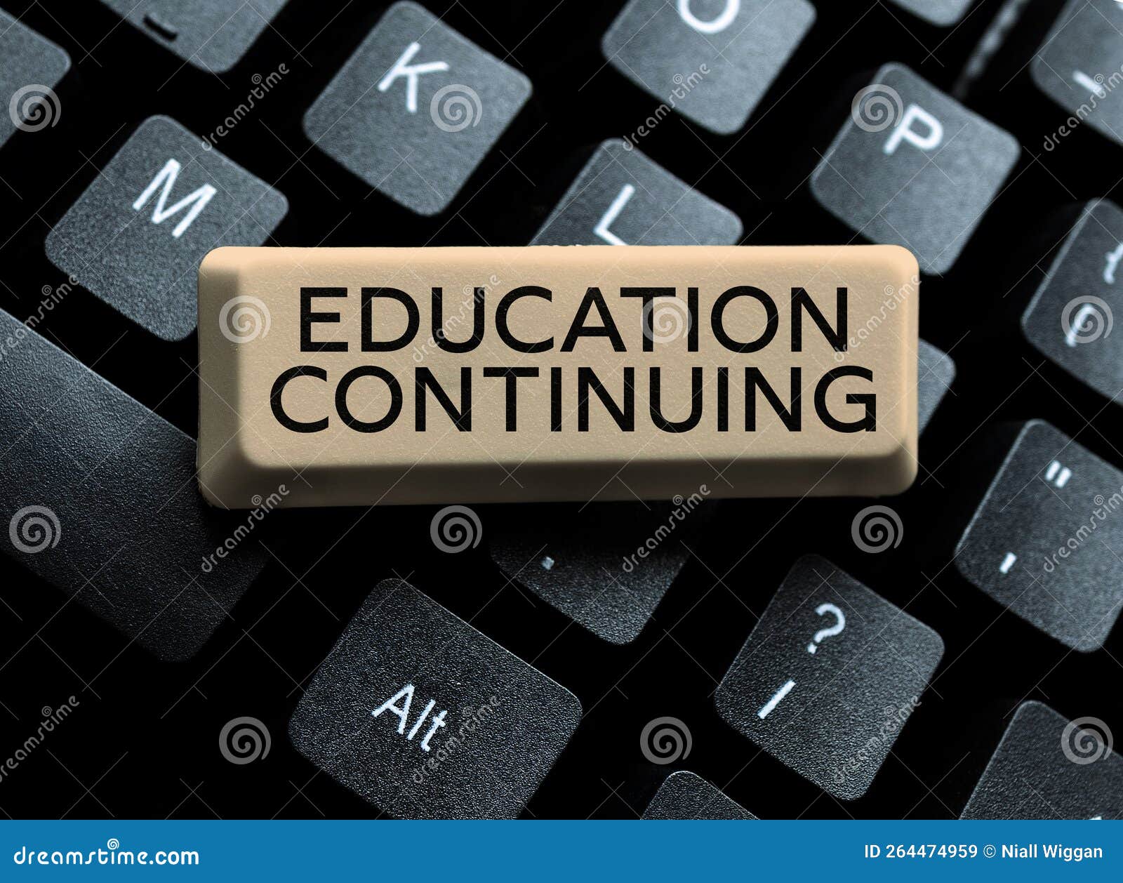 Conceptual Display Education Continuing. Business Idea Acquisition of ... Conceptual Display Education Continuing. Business Idea Acquisition of ...