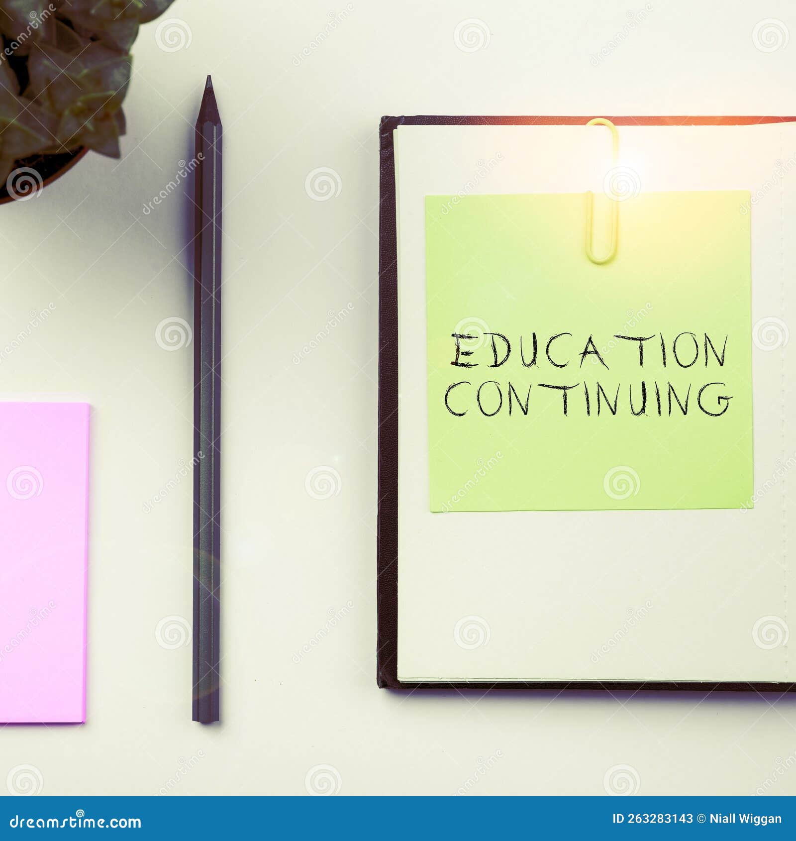 Conceptual Caption Education Continuing. Word Written on Acquisition of ... Conceptual Caption Education Continuing. Word Written on Acquisition of ...
