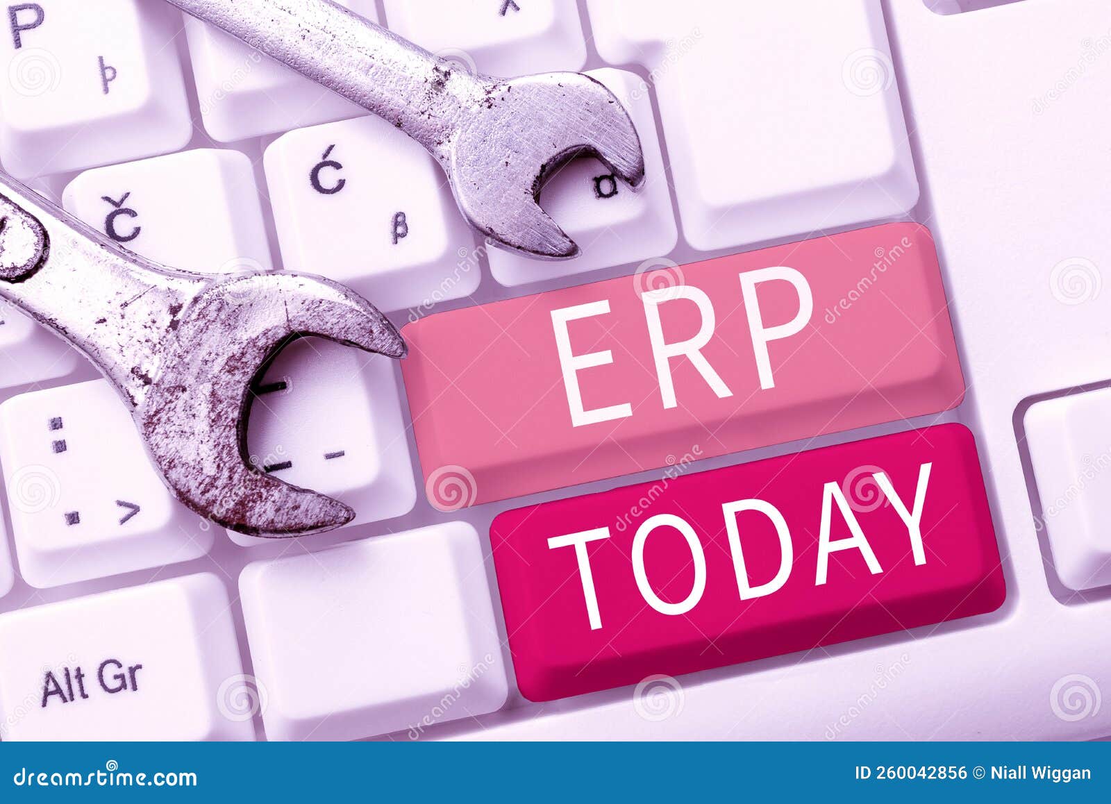Conceptual Caption Erp. Business Approach Enterprise Resource Planning ... Conceptual Caption Erp. Business Approach Enterprise Resource Planning ...