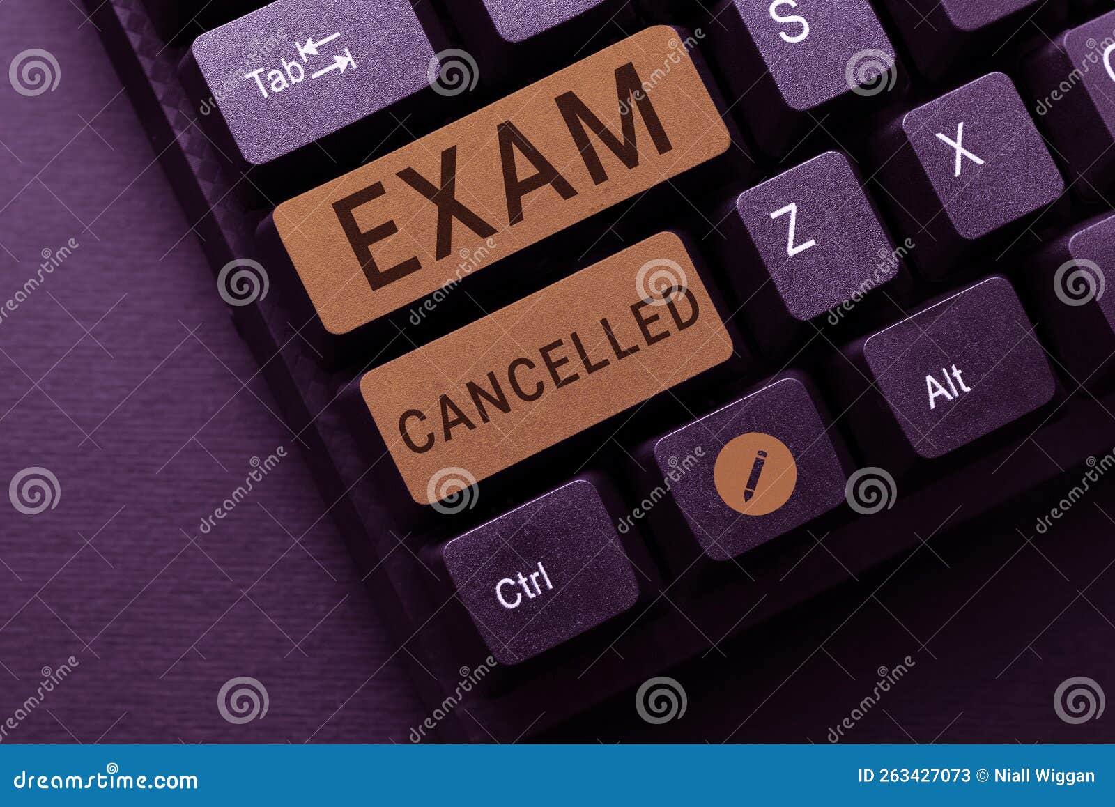 Conceptual Caption Exam Cancelled. Business Concept the Precise ... Conceptual Caption Exam Cancelled. Business Concept the Precise ...