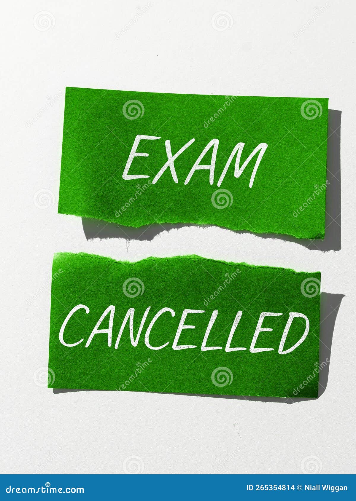 Conceptual Caption Exam Cancelled. Word Written on the Precise ...