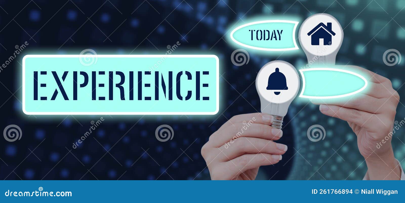 Conceptual Caption Experience. Concept Meaning Single Instance ...