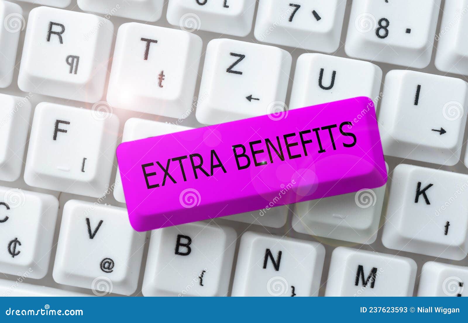 Text Caption Presenting Extra Benefits. Business Overview Additional ...