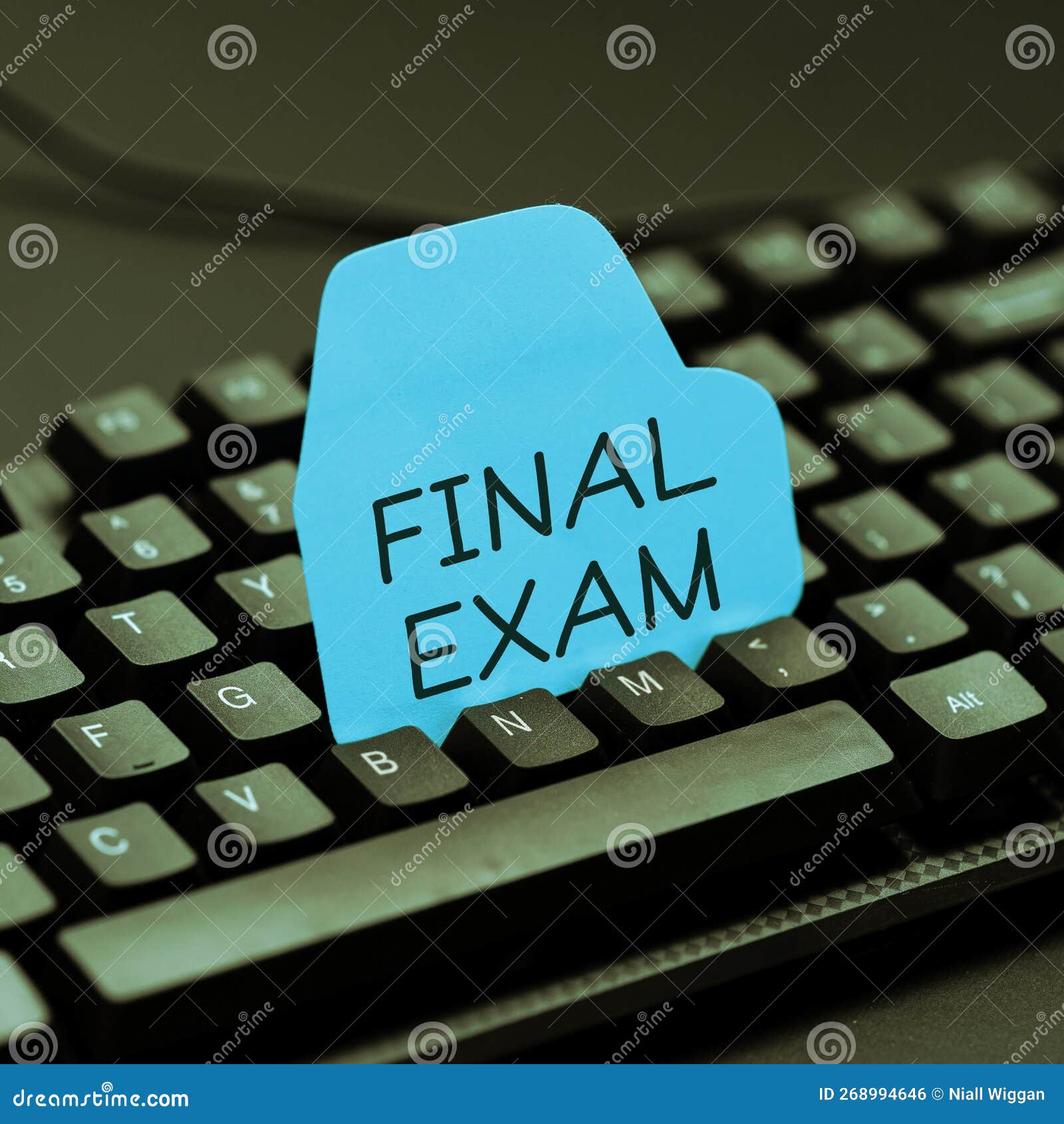 Conceptual Caption Final Exam. Word for Test Given To Student at the ...