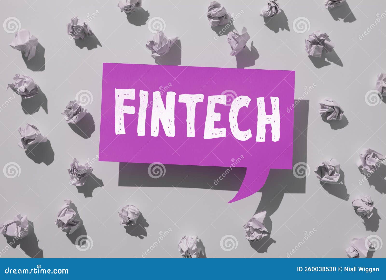 Writing Displaying Text Fintech. Business Overview the Integration of ...