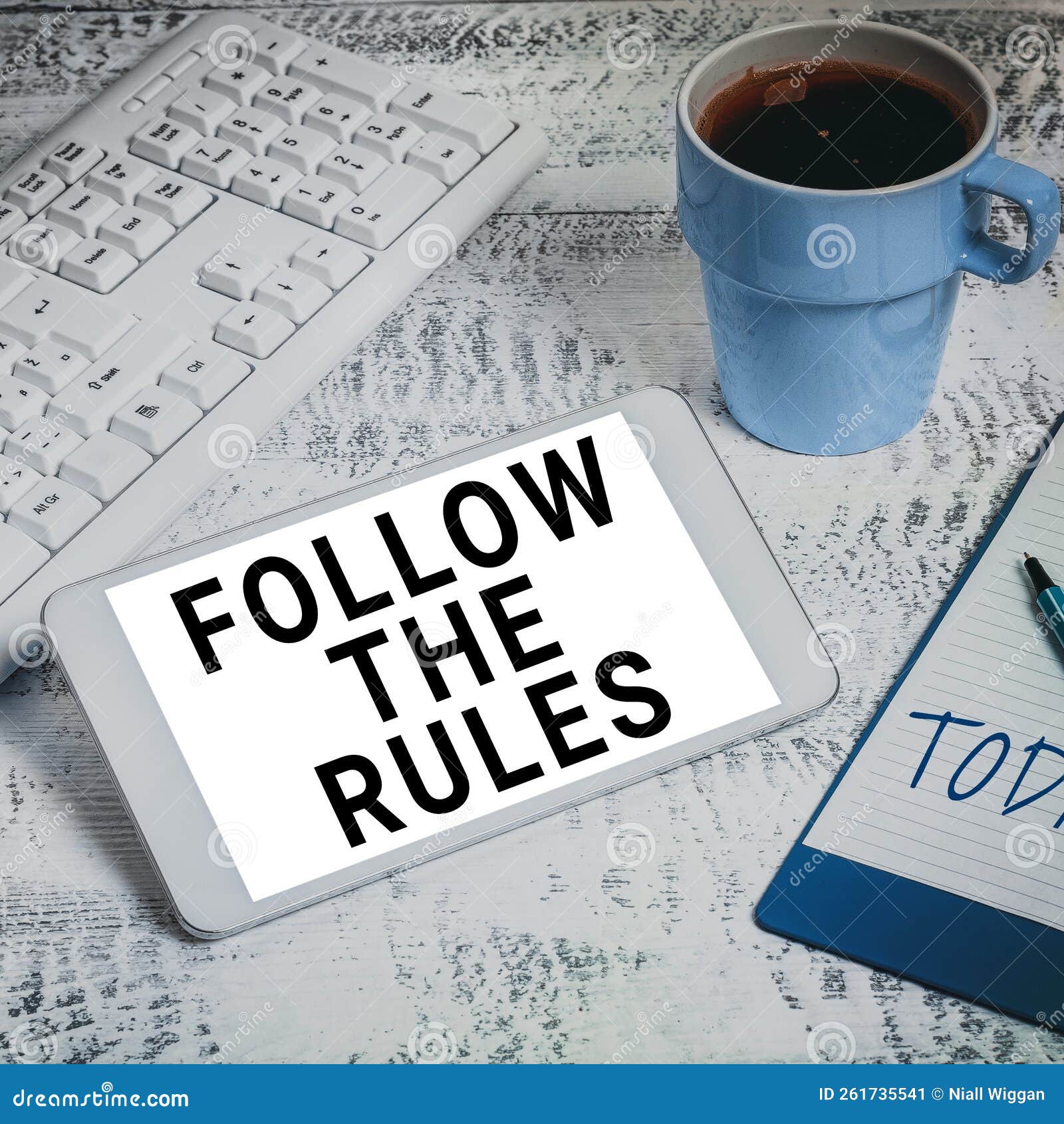 Conceptual Caption Follow the Rules. Business Overview Learn To Conform ... Conceptual Caption Follow the Rules. Business Overview Learn To Conform ...