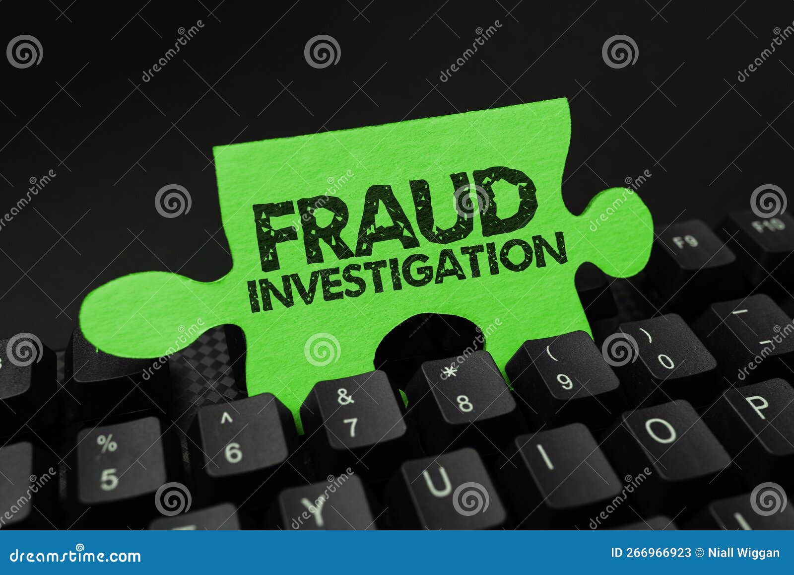 Conceptual Caption Fraud Investigation. Business Showcase Process of ... Conceptual Caption Fraud Investigation. Business Showcase Process of ...