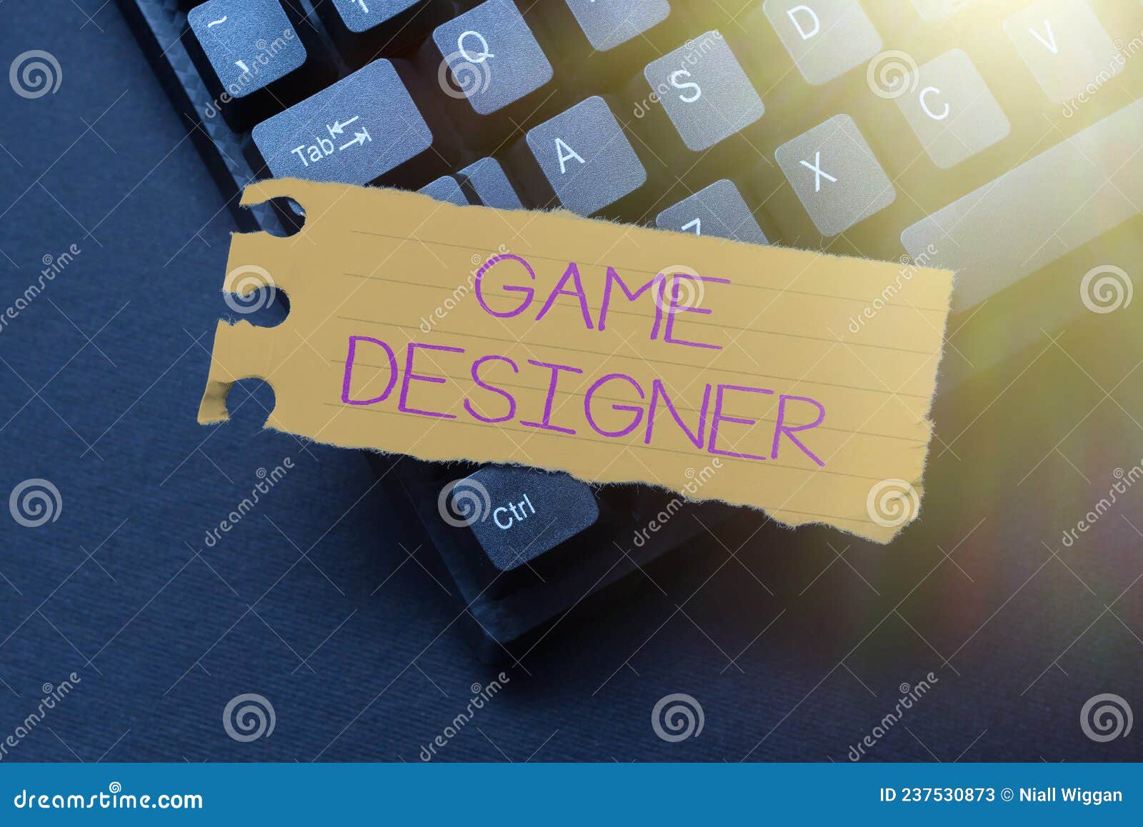 Sign Displaying Game Designer. Business Concept Campaigner Pixel ...