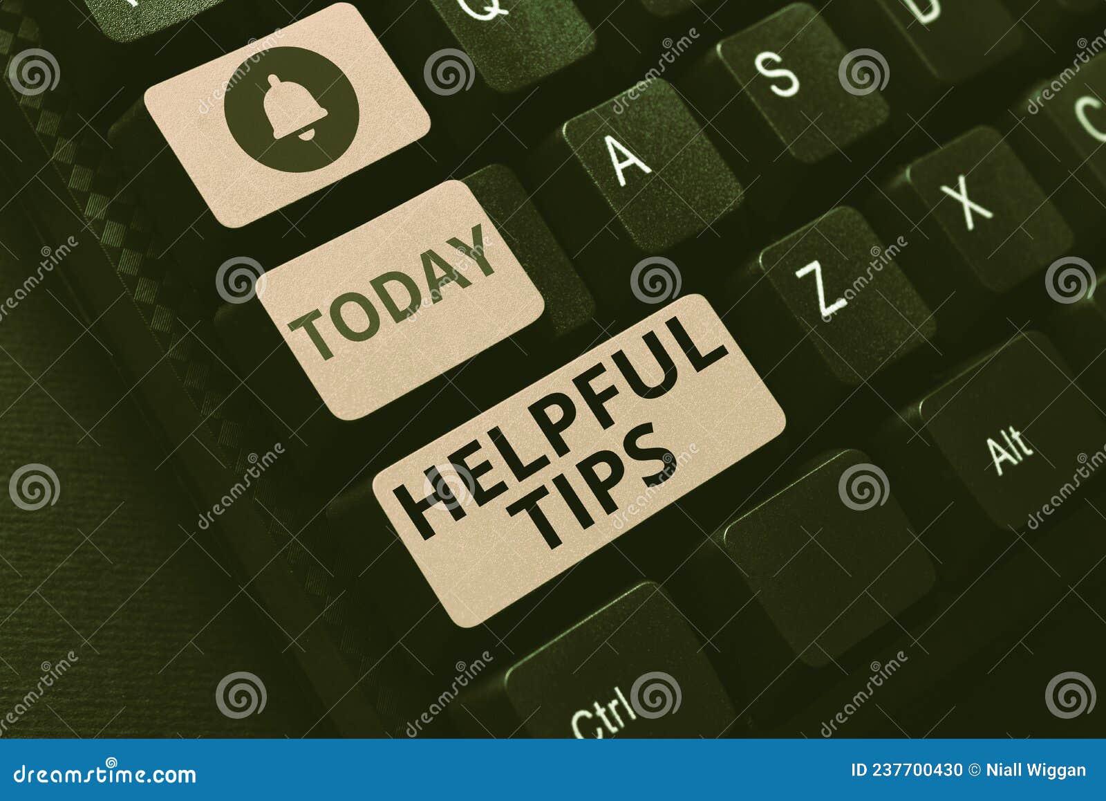 Conceptual Caption Helpful Tips. Concept Meaning Useful Secret ... Conceptual Caption Helpful Tips. Concept Meaning Useful Secret ...