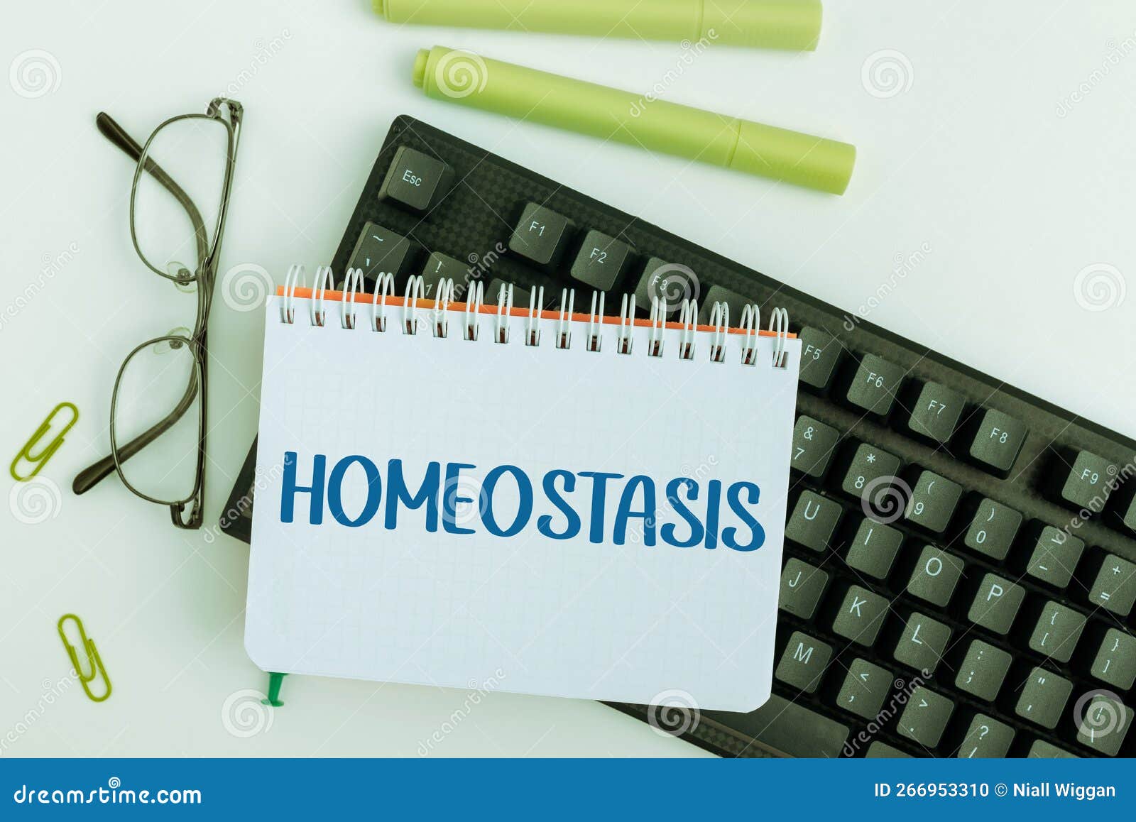 Conceptual Caption Homeostasis. Concept Meaning the Tendency Toward a ...