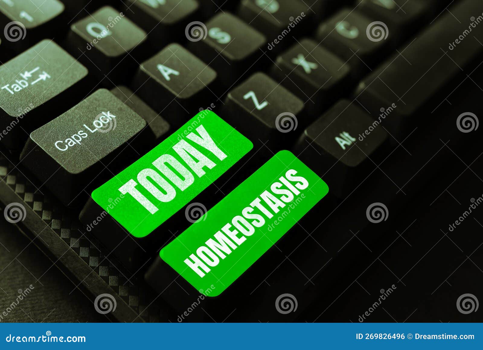 Text Showing Inspiration Homeostasis. Word for the Tendency Toward a ...