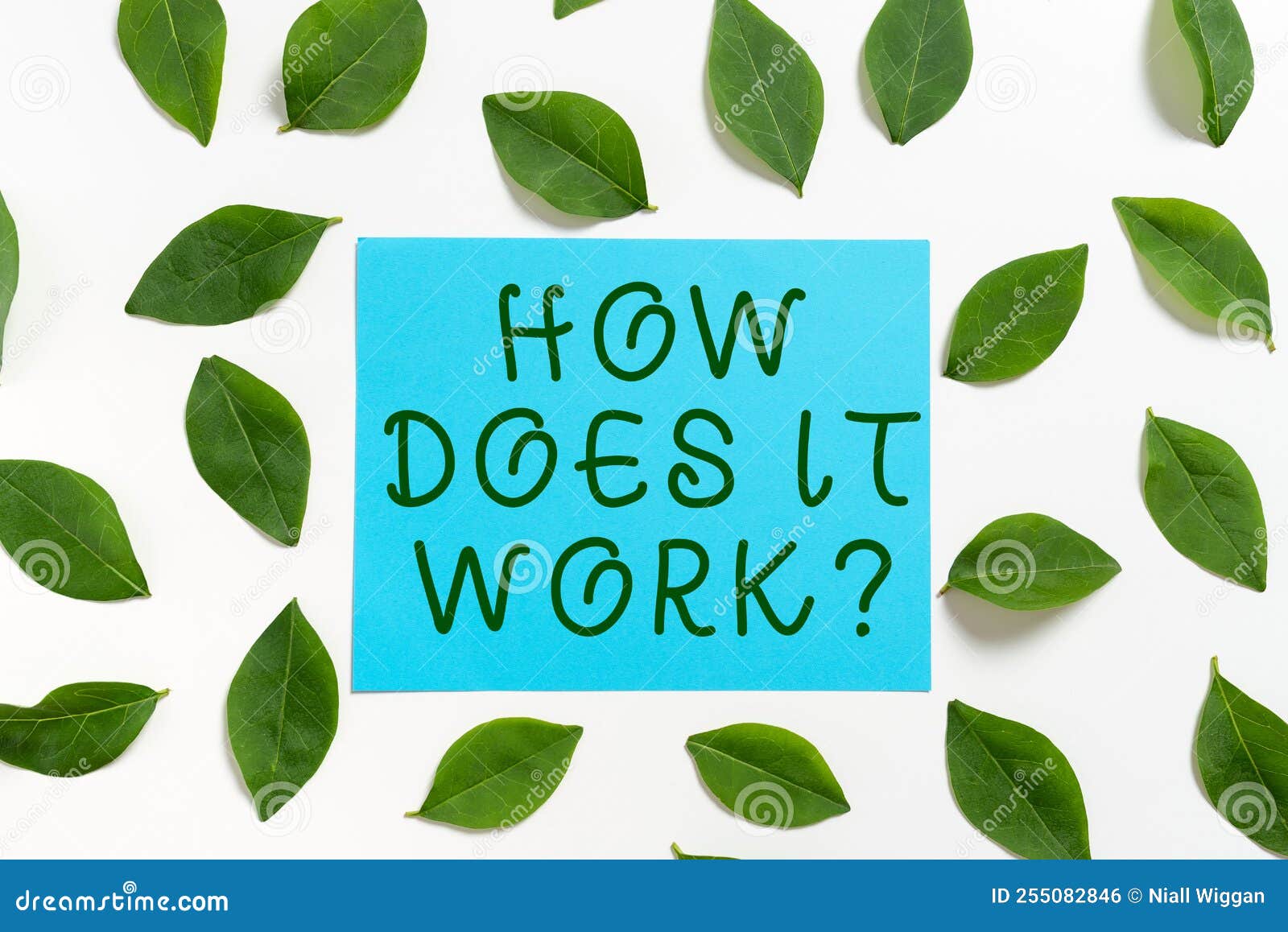 Conceptual Caption How Does it Work QuestionAsking on How Stuff Being ...