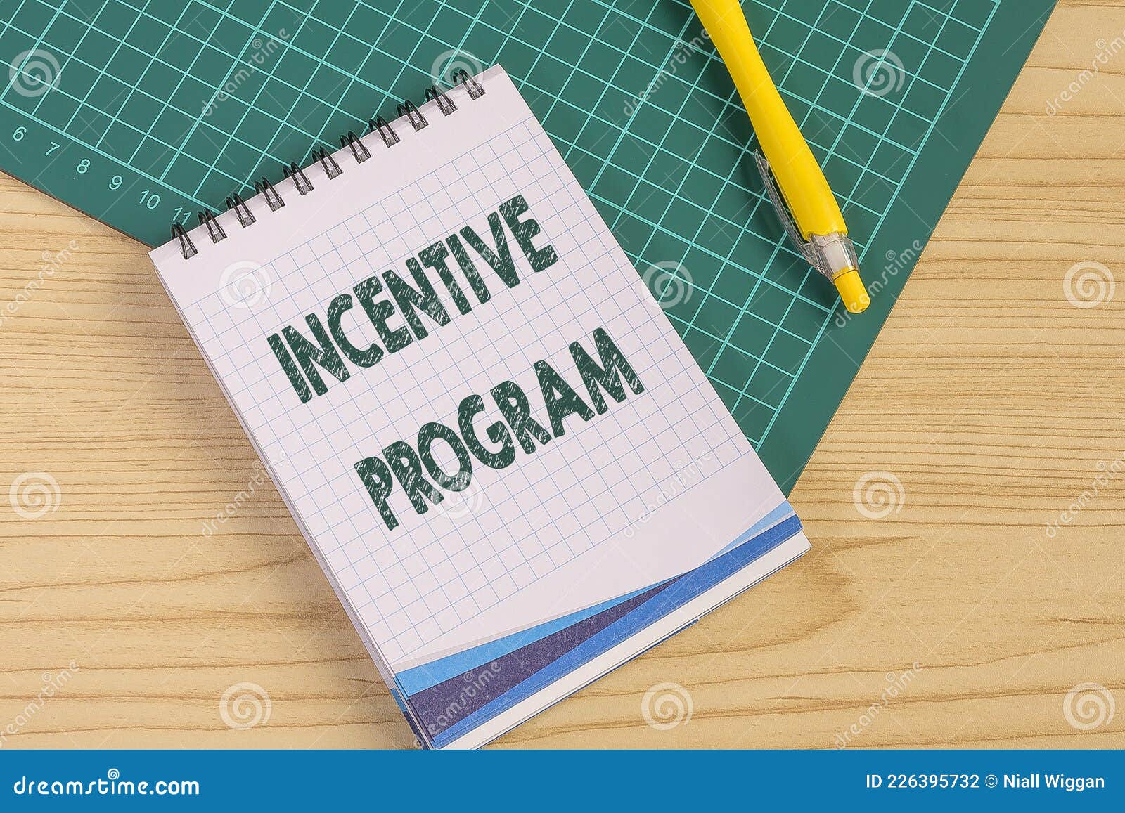 Conceptual Caption Incentive Program. Business Overview Specific Scheme ...