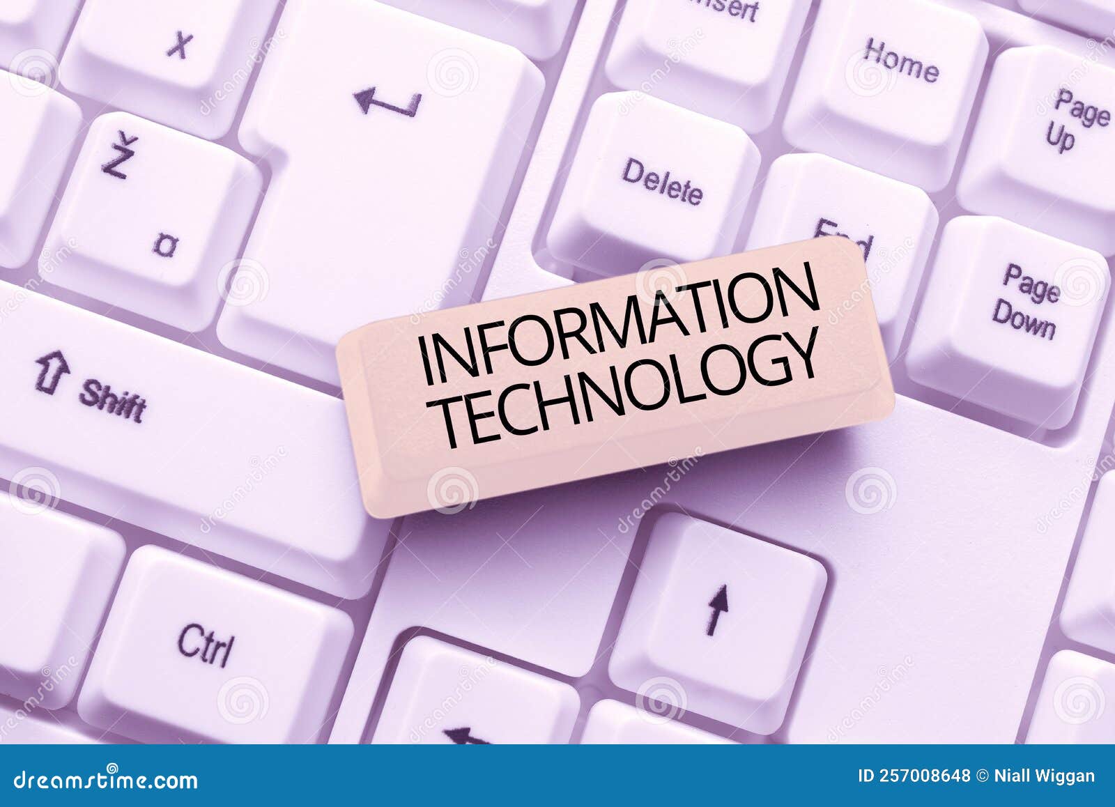 Text Caption Presenting Information Technology. Business Overview Use ...