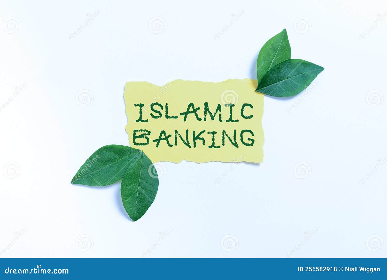 Conceptual Caption Islamic BankingBanking System Based on the ...
