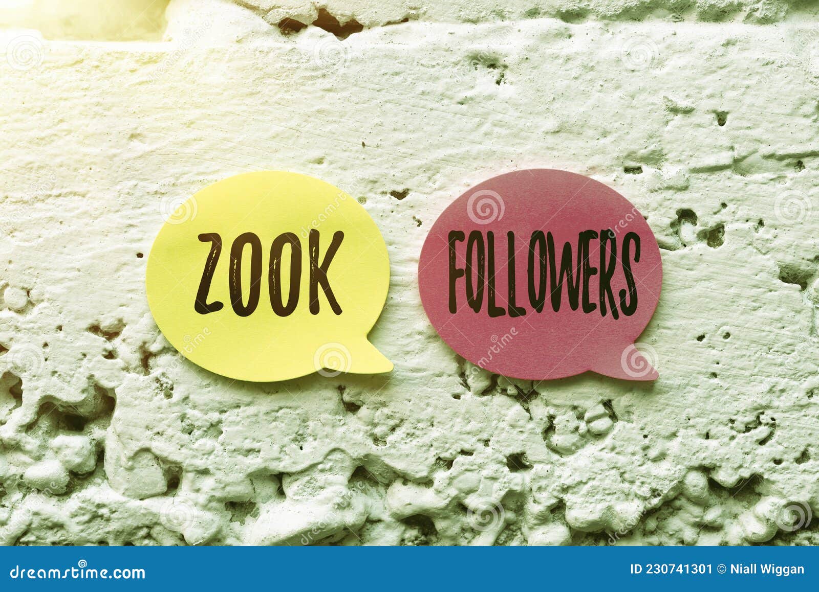 Conceptual Caption 200K Followers. Concept Meaning Number of ... Conceptual Caption 200K Followers. Concept Meaning Number of ...