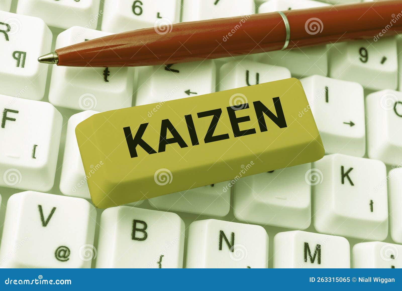 Conceptual Caption Kaizen. Business Approach a Japanese Business ... Conceptual Caption Kaizen. Business Approach a Japanese Business ...