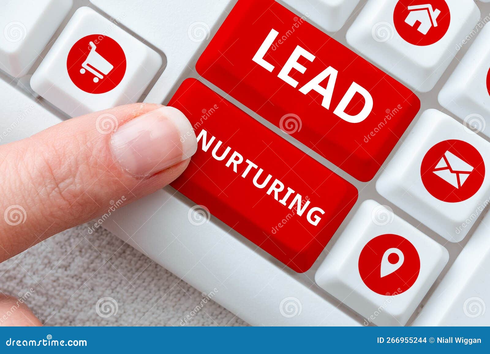 Conceptual Caption Lead Nurturing. Concept Meaning Method of Building a ... Conceptual Caption Lead Nurturing. Concept Meaning Method of Building a ...
