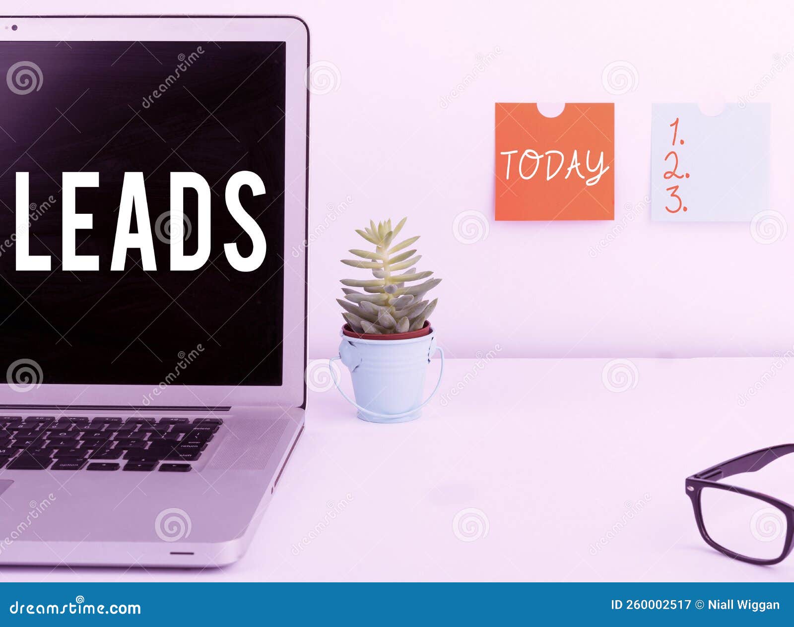 Conceptual Caption Leads. Business Overview Demographic Information of ... Conceptual Caption Leads. Business Overview Demographic Information of ...