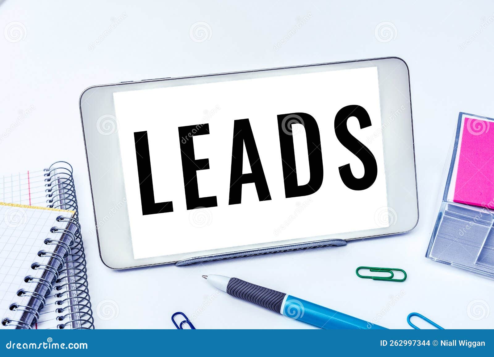 Conceptual Caption Leads. Business Overview Route or Means of Access To ... Conceptual Caption Leads. Business Overview Route or Means of Access To ...