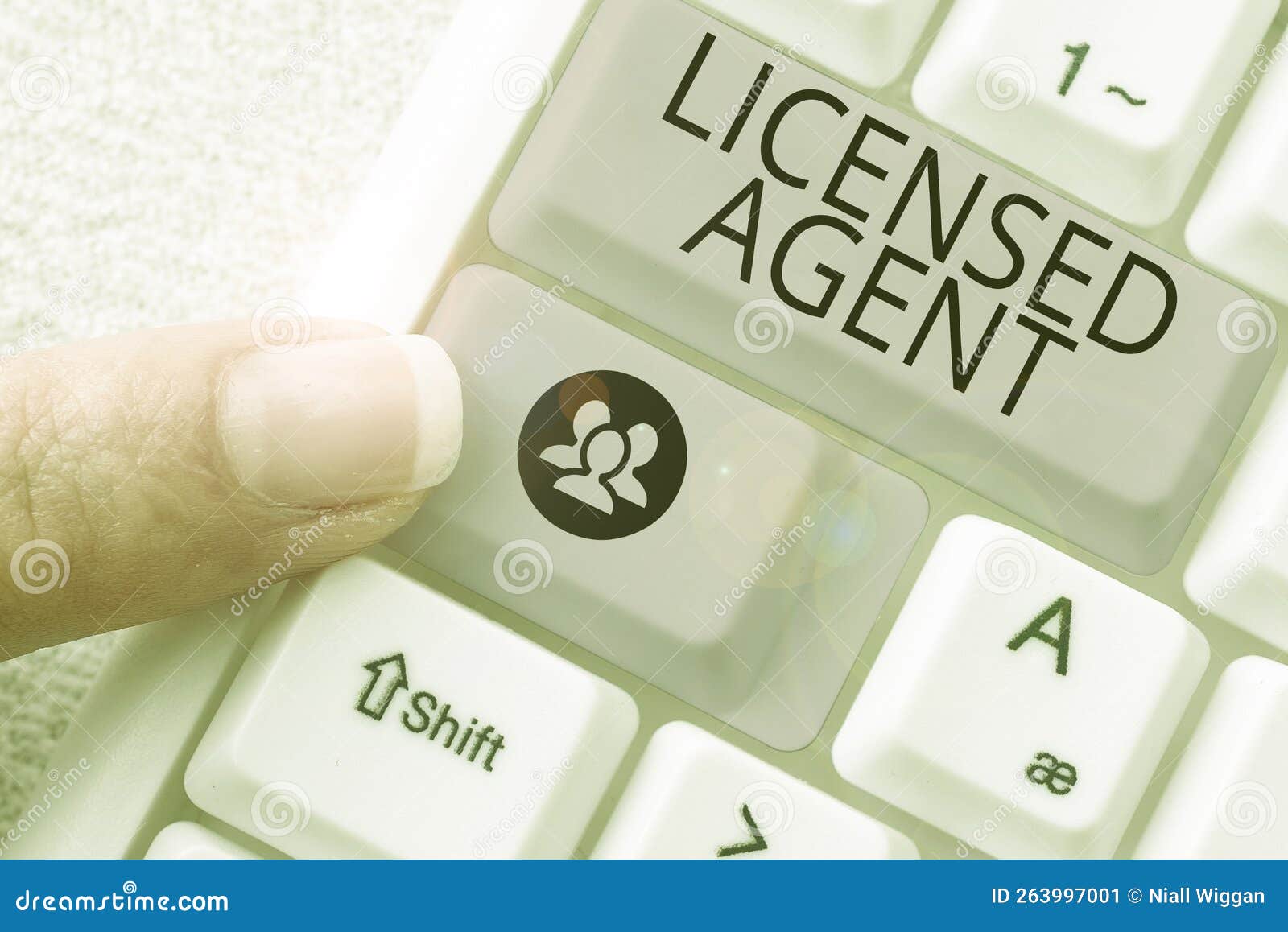 Conceptual Caption Licensed Agent. Business Overview Authorized and ... Conceptual Caption Licensed Agent. Business Overview Authorized and ...