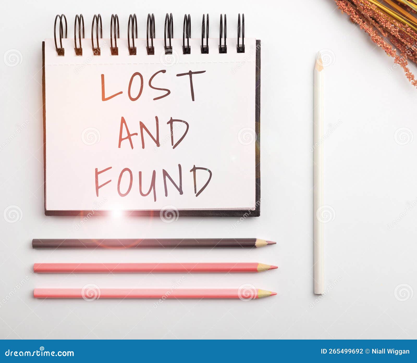 Conceptual Caption Lost and Found. Business Concept Place Where You Can ... Conceptual Caption Lost and Found. Business Concept Place Where You Can ...