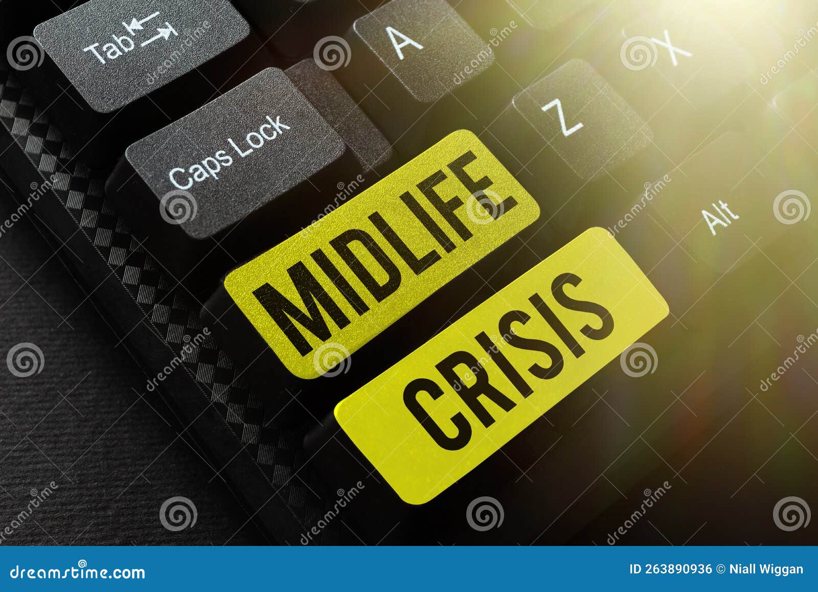 Conceptual Caption Midlife Crisis. Business Overview Software ... Conceptual Caption Midlife Crisis. Business Overview Software ...
