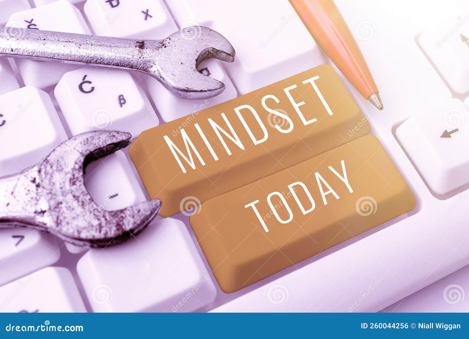 Text Showing Inspiration Mindset. Business Showcase Set of Assumptions ...