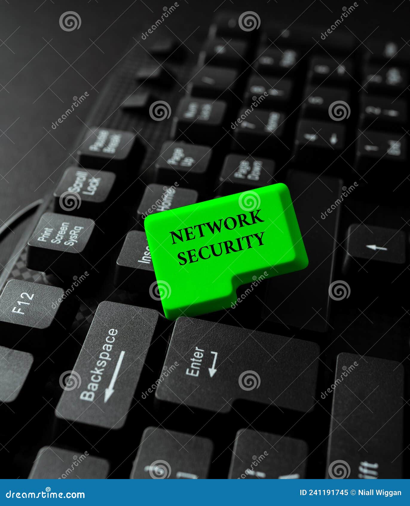 Conceptual Caption Network Security Business Overview Practice Of Securing A Computer Web From