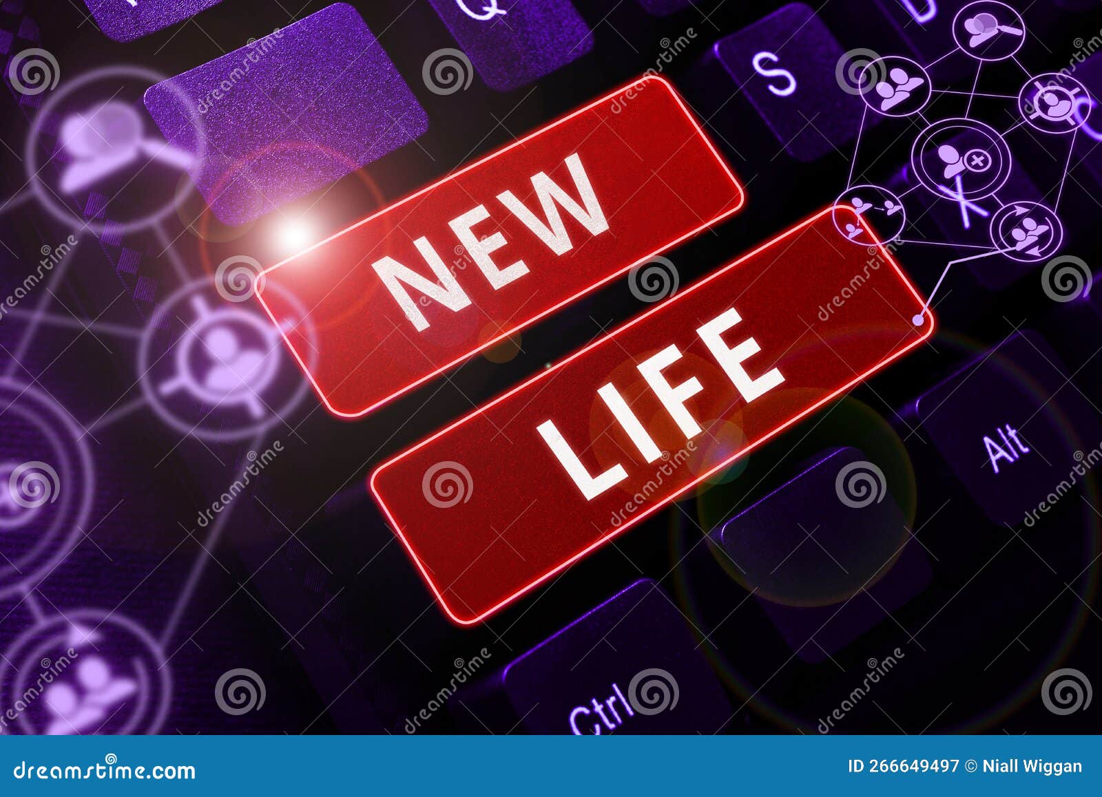 Text Showing Inspiration New Life. Business Concept Start of Change in ... Text Showing Inspiration New Life. Business Concept Start of Change in ...