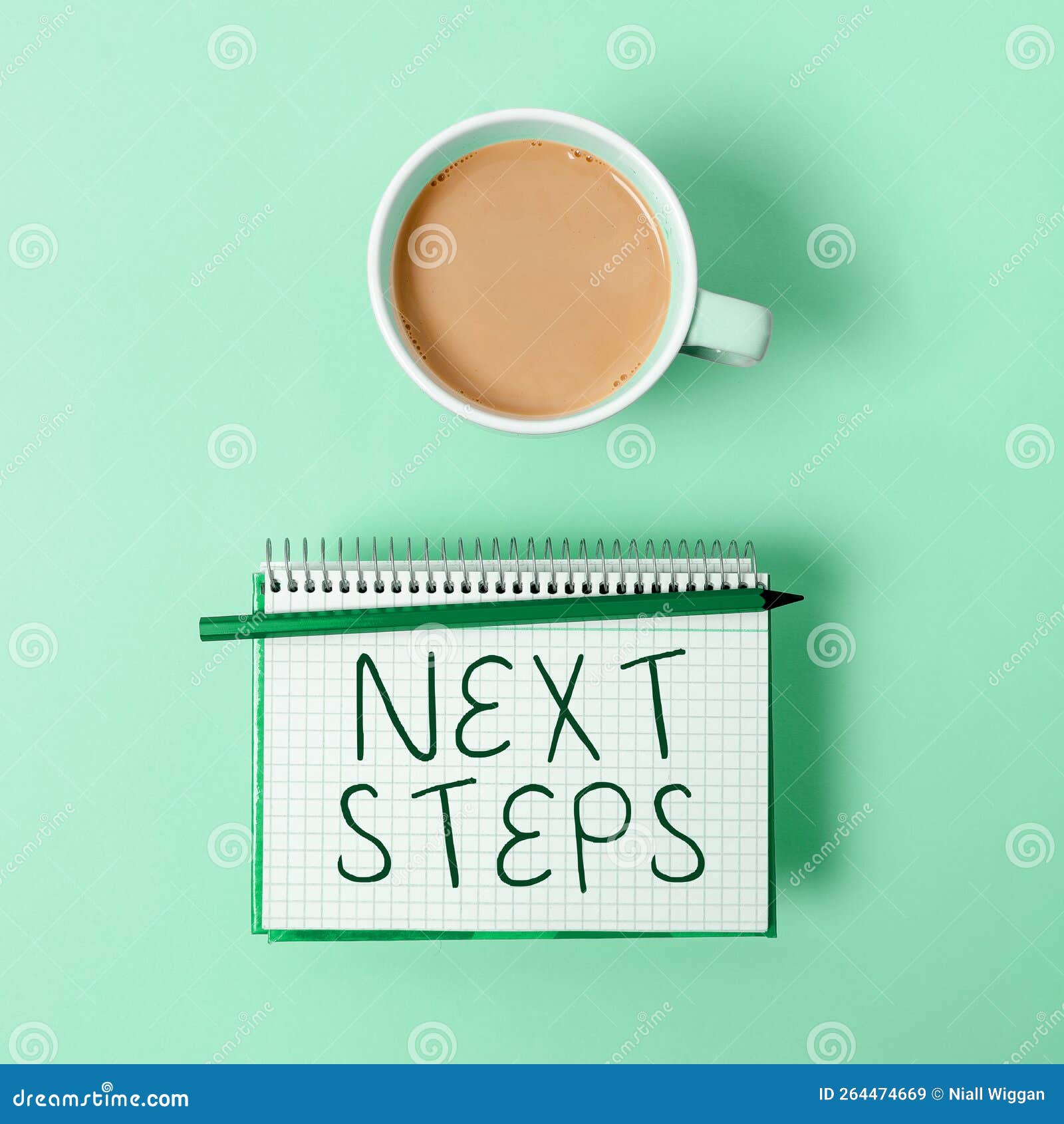 Conceptual Caption Next Steps. Business Approach Numper of Process ...