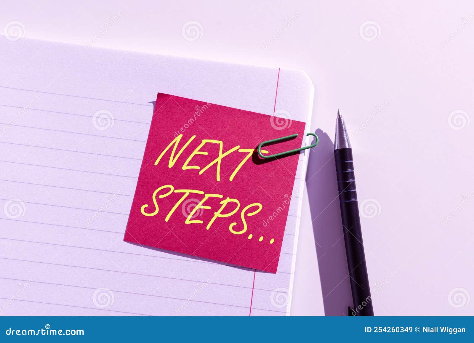 Conceptual Caption Next Steps . Conceptual Photo Numper of Process ...