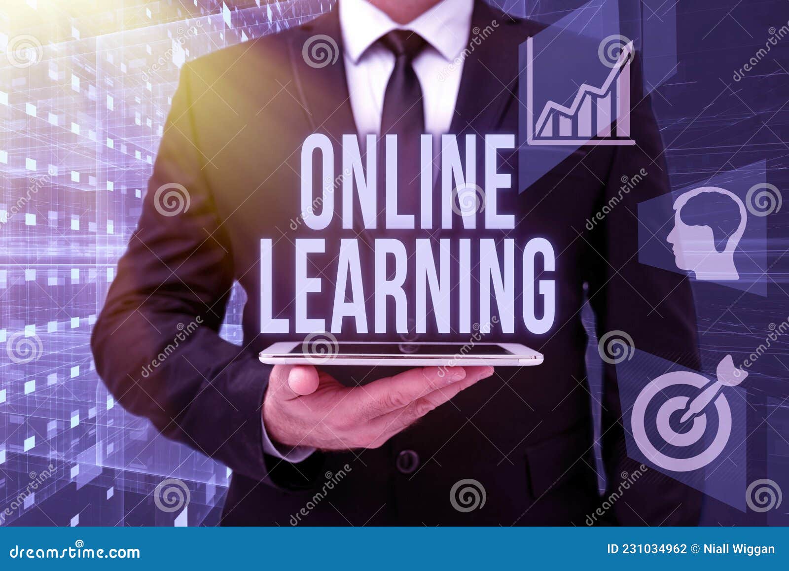 Conceptual Caption Online Learning. Internet Concept Larning with the ...