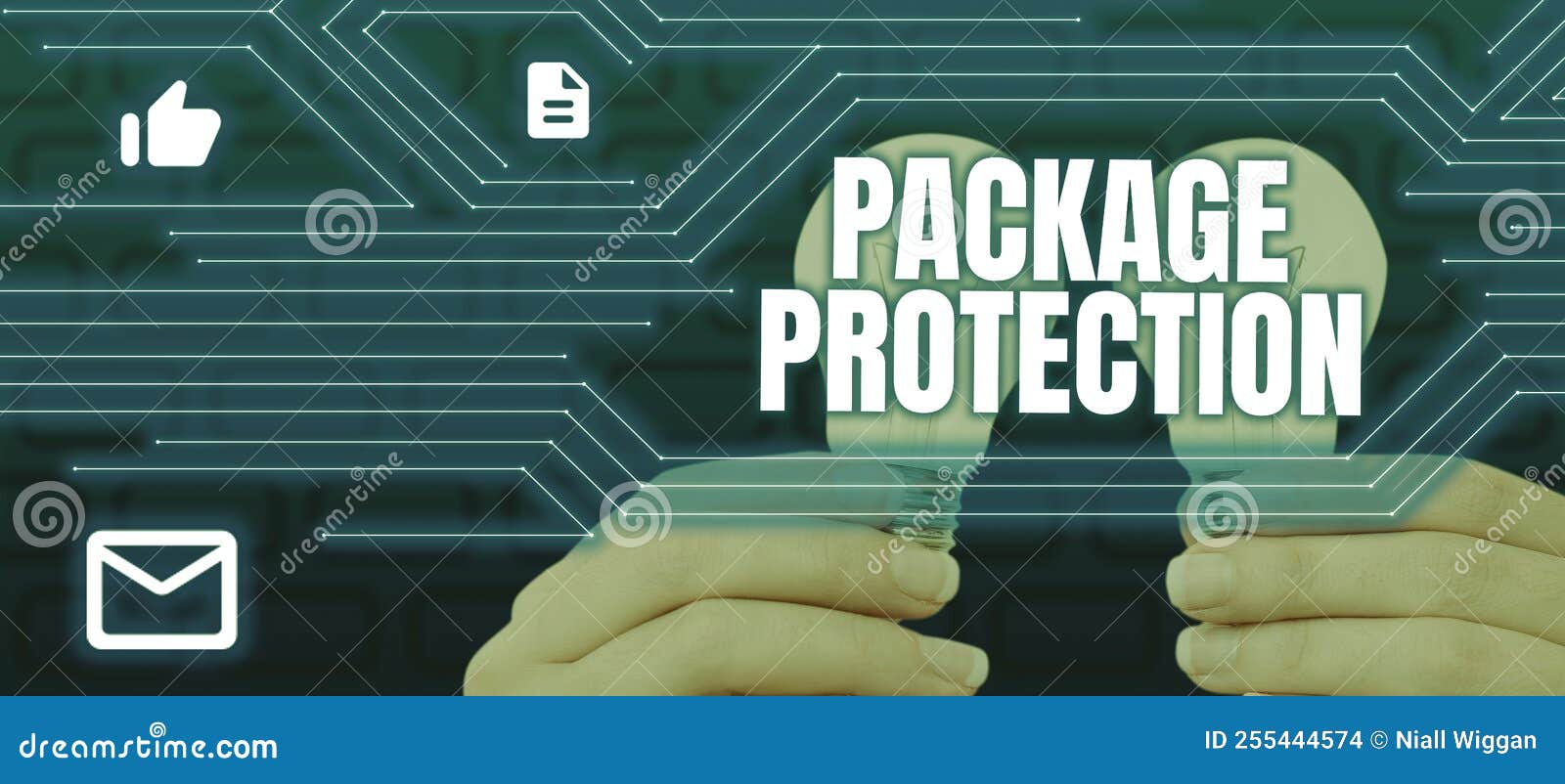 Conceptual Caption Package ProtectionWrapping and Securing Items To ...