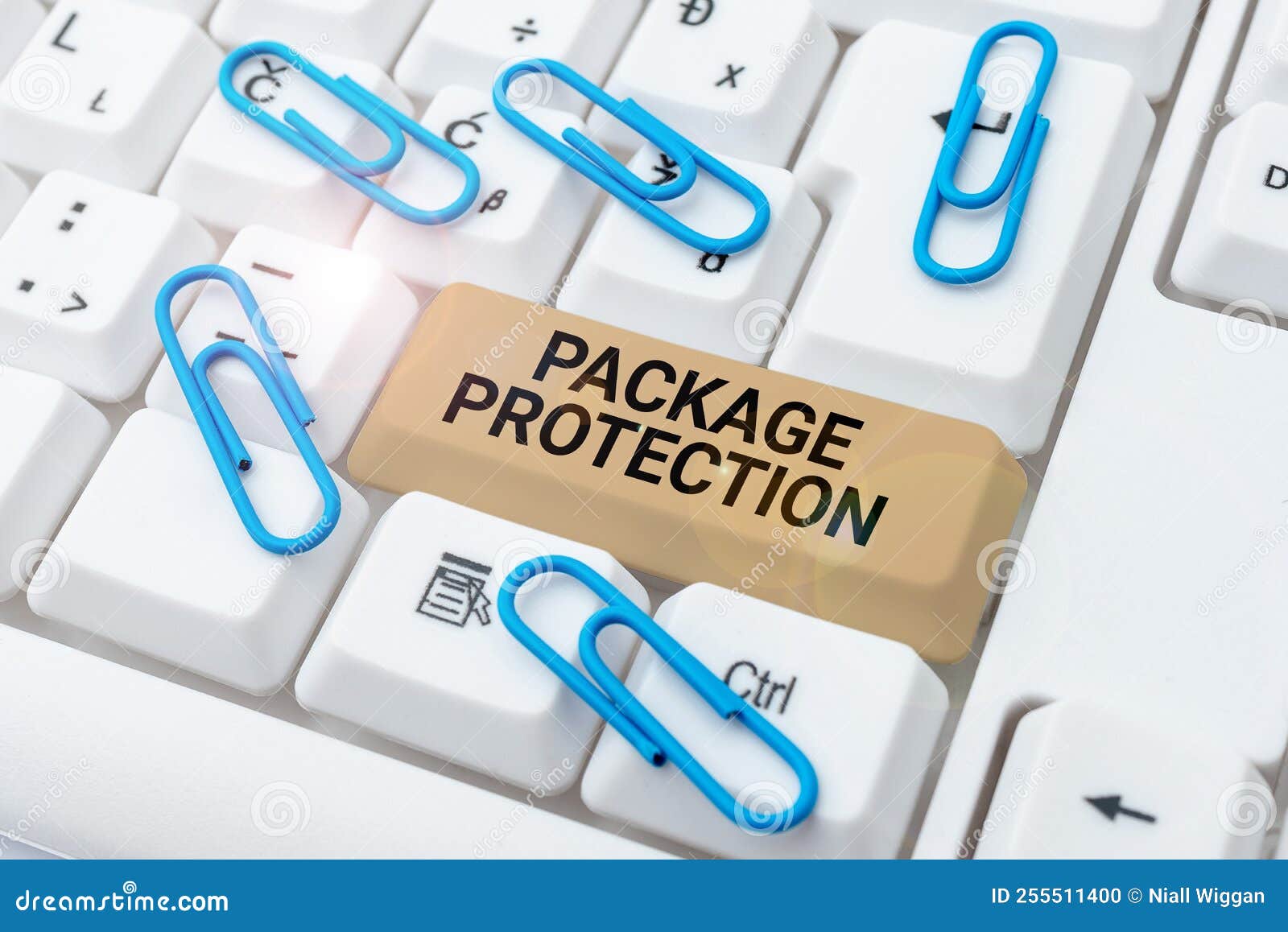 Conceptual Caption Package ProtectionWrapping and Securing Items To ...