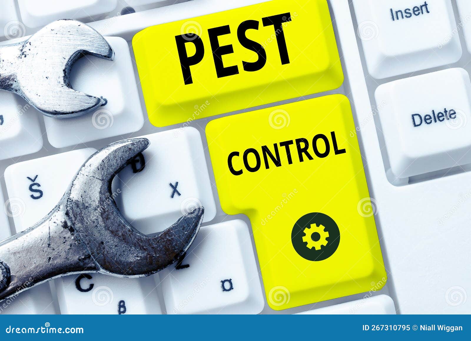 Conceptual Caption Pest Control. Word for Killing Destructive Insects ... Conceptual Caption Pest Control. Word for Killing Destructive Insects ...