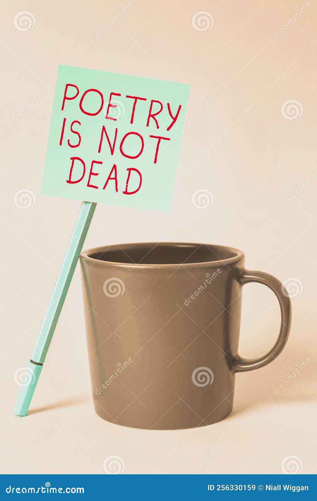 Conceptual Display Policies and Procedure. Concept Meaning Aesthetic ... Conceptual Display Policies and Procedure. Concept Meaning Aesthetic ...