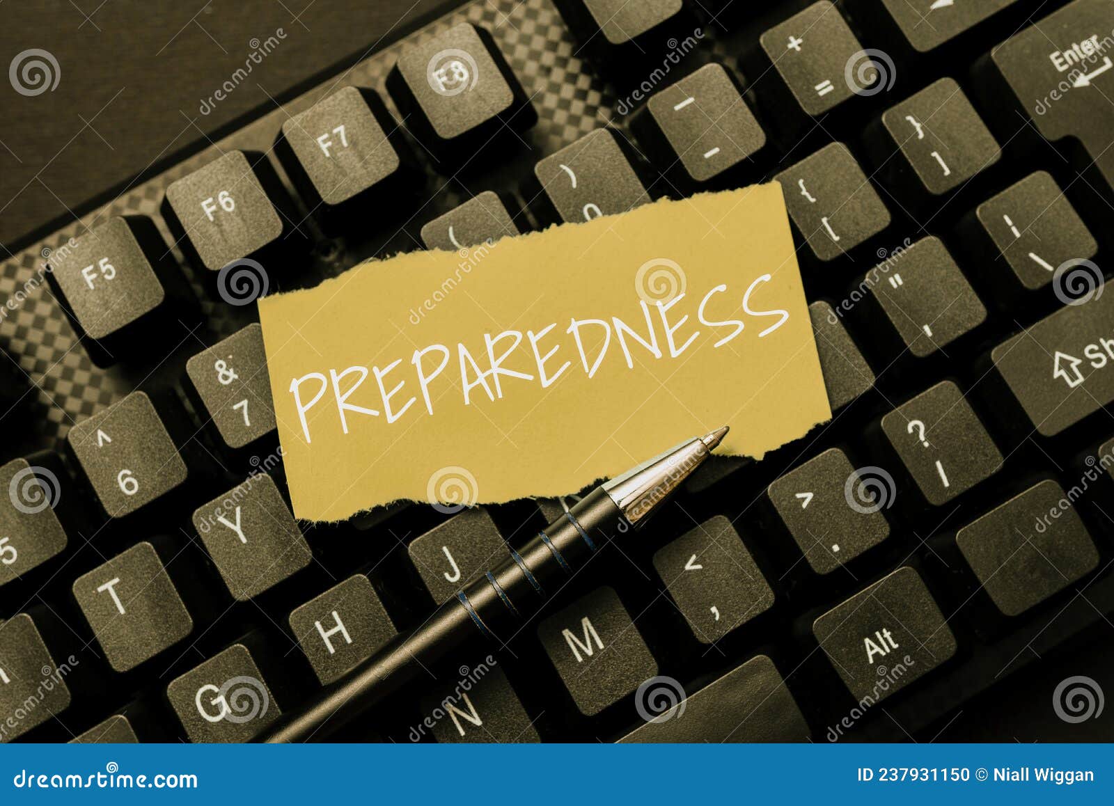 Conceptual Caption Preparedness. Business Idea Quality or State of ... Conceptual Caption Preparedness. Business Idea Quality or State of ...