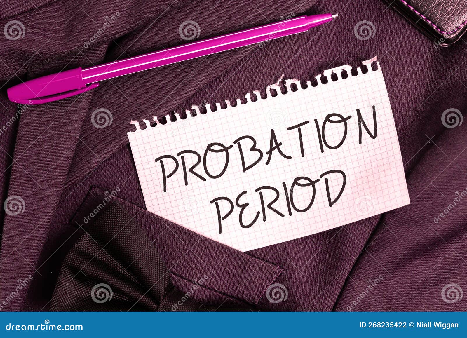 Conceptual Caption Probation Period. Business Showcase Focused and ... Conceptual Caption Probation Period. Business Showcase Focused and ...