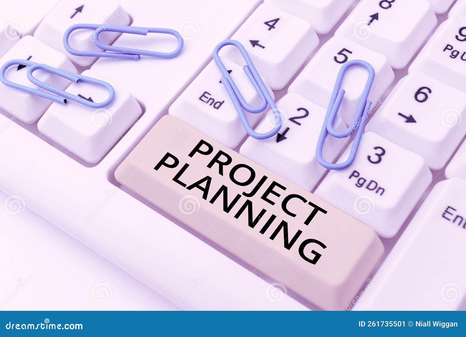 Conceptual Caption Project Planning. Business Idea Plan and ...