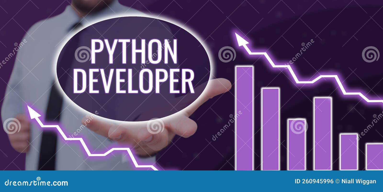 Conceptual Caption Python Developer. Internet Concept Responsible for Writing Serverside Web ...
