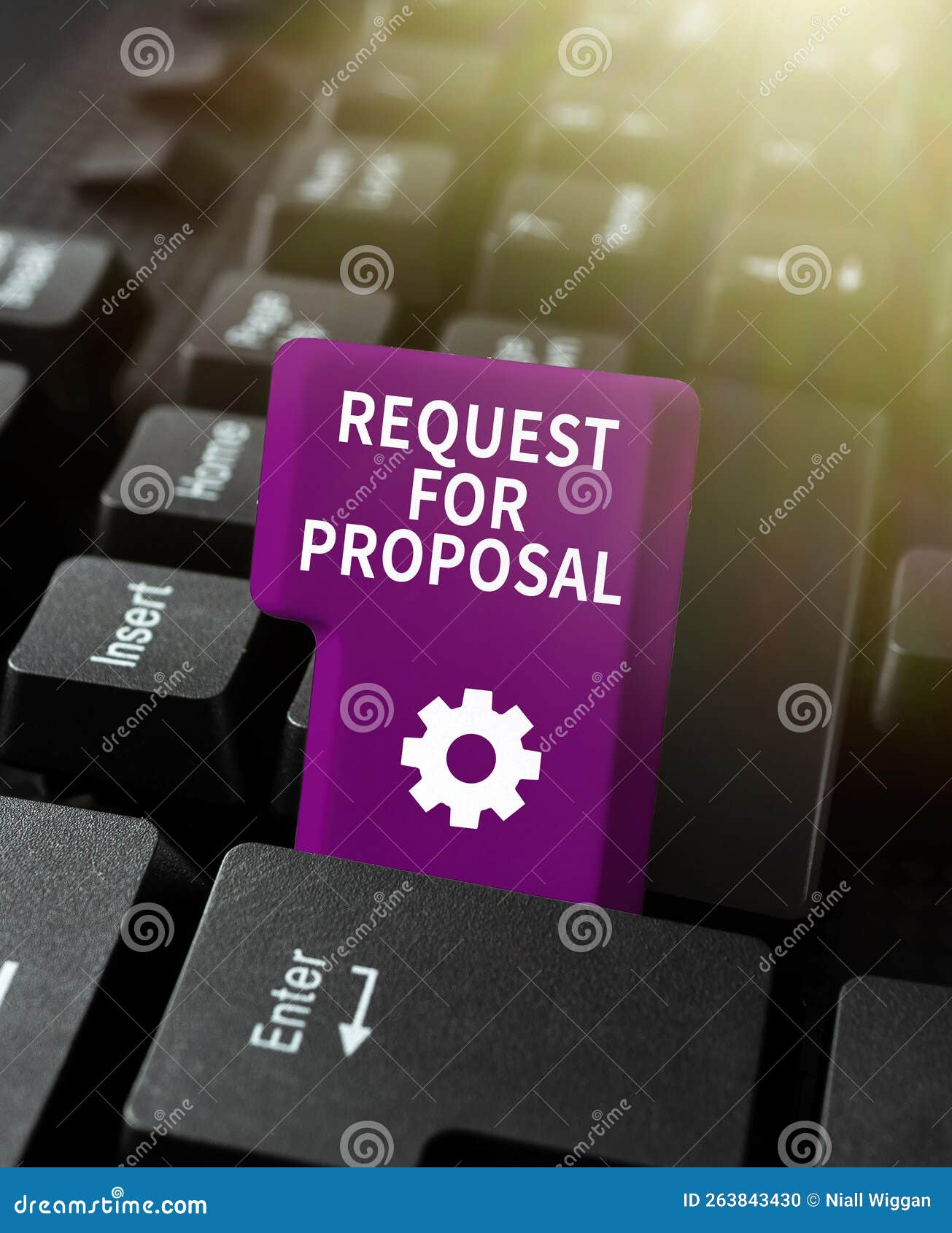 Conceptual Display Request for Proposal. Word for Document Contains ...