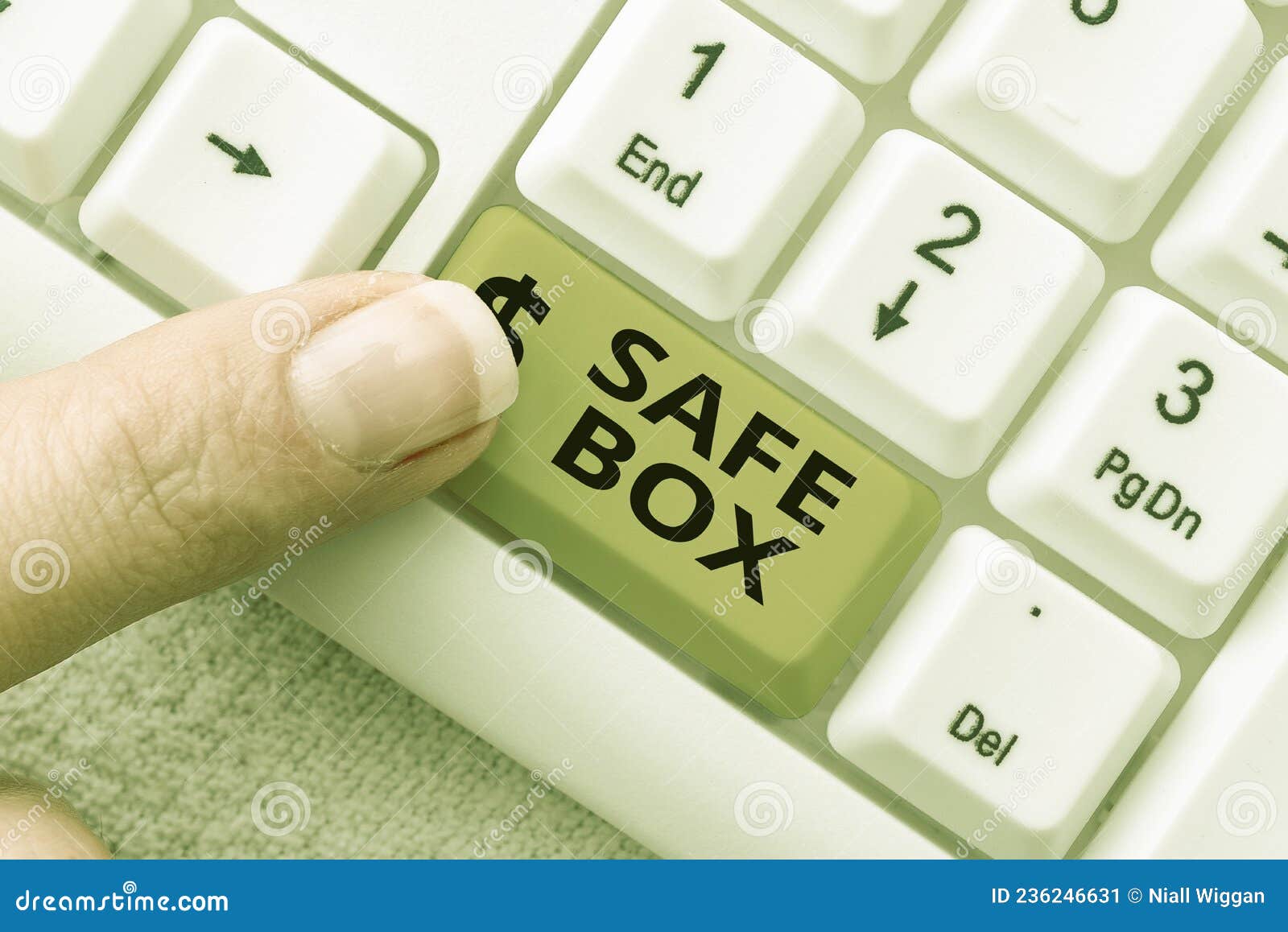 Text Showing Inspiration Safe Box. Concept Meaning a Small Structure ...