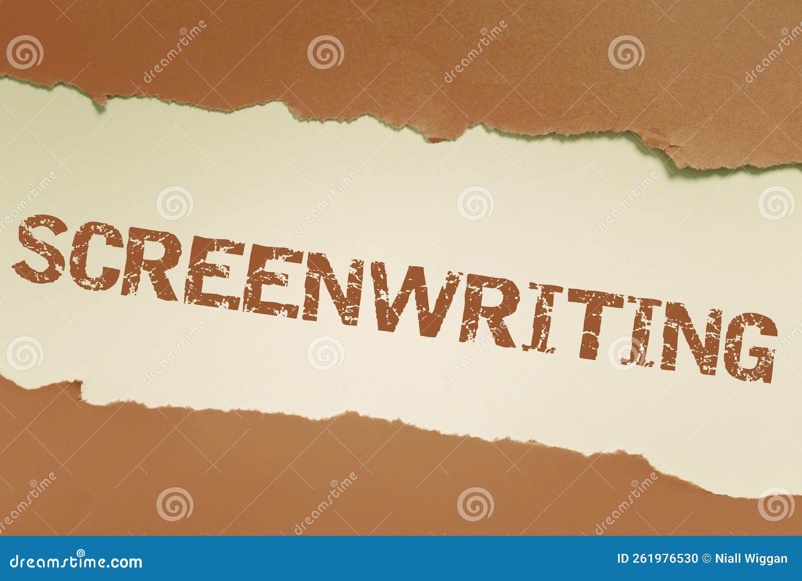 Conceptual Caption Screenwriting. Business Concept the Art and Craft of ...
