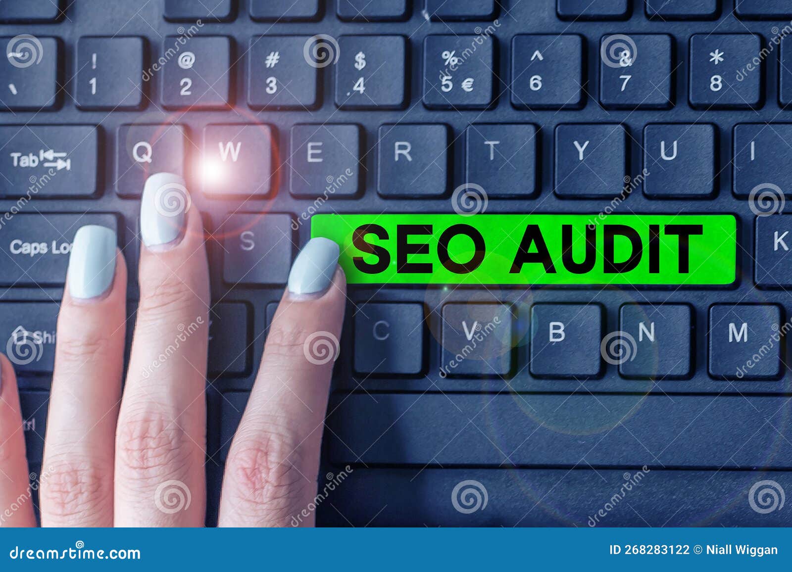 Conceptual Caption Seo Audit. Business Showcase Search Engine ... Conceptual Caption Seo Audit. Business Showcase Search Engine ...