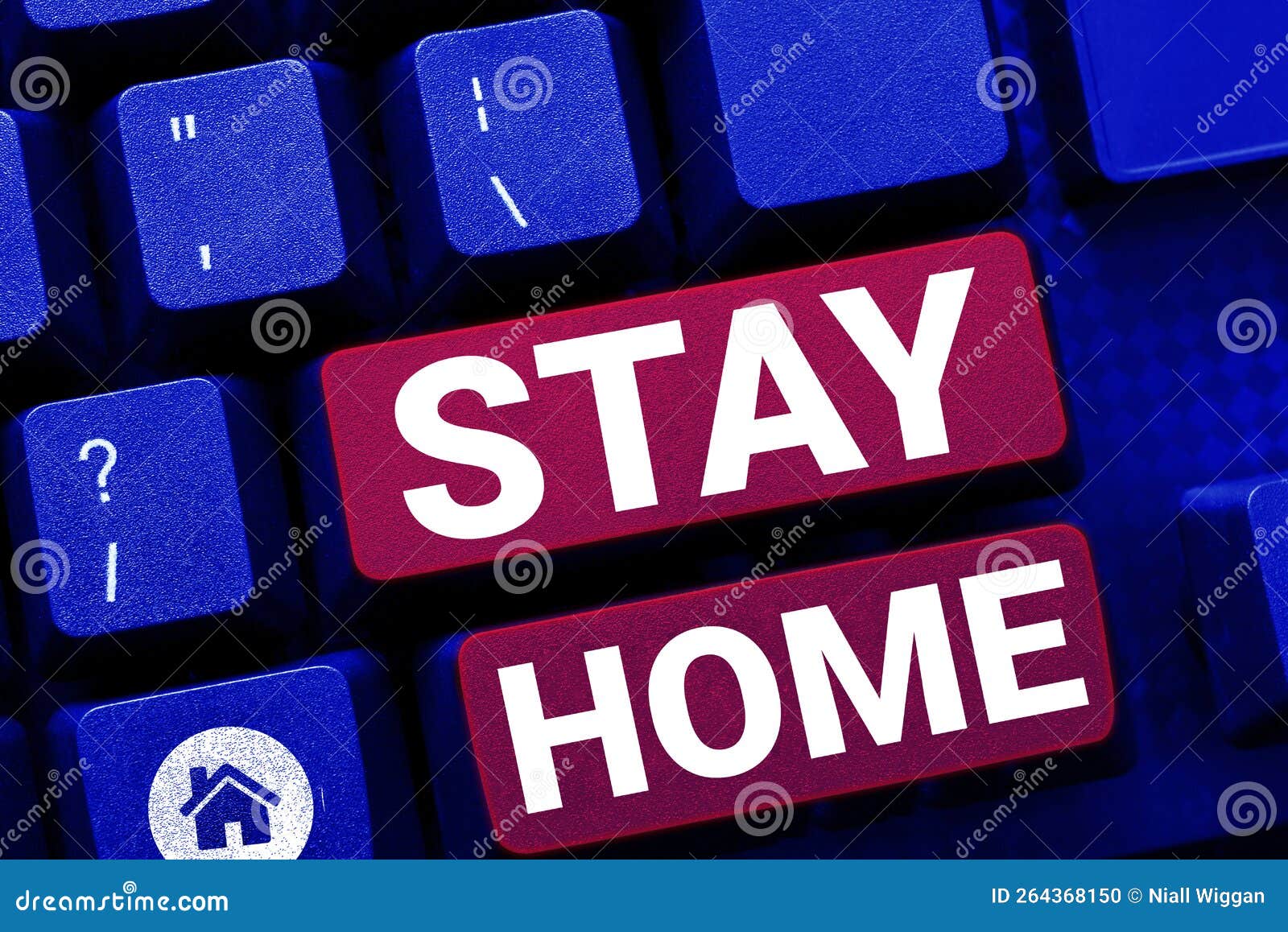 Text Showing Inspiration Stay Home. Internet Concept Not Go Out for an ... Text Showing Inspiration Stay Home. Internet Concept Not Go Out for an ...