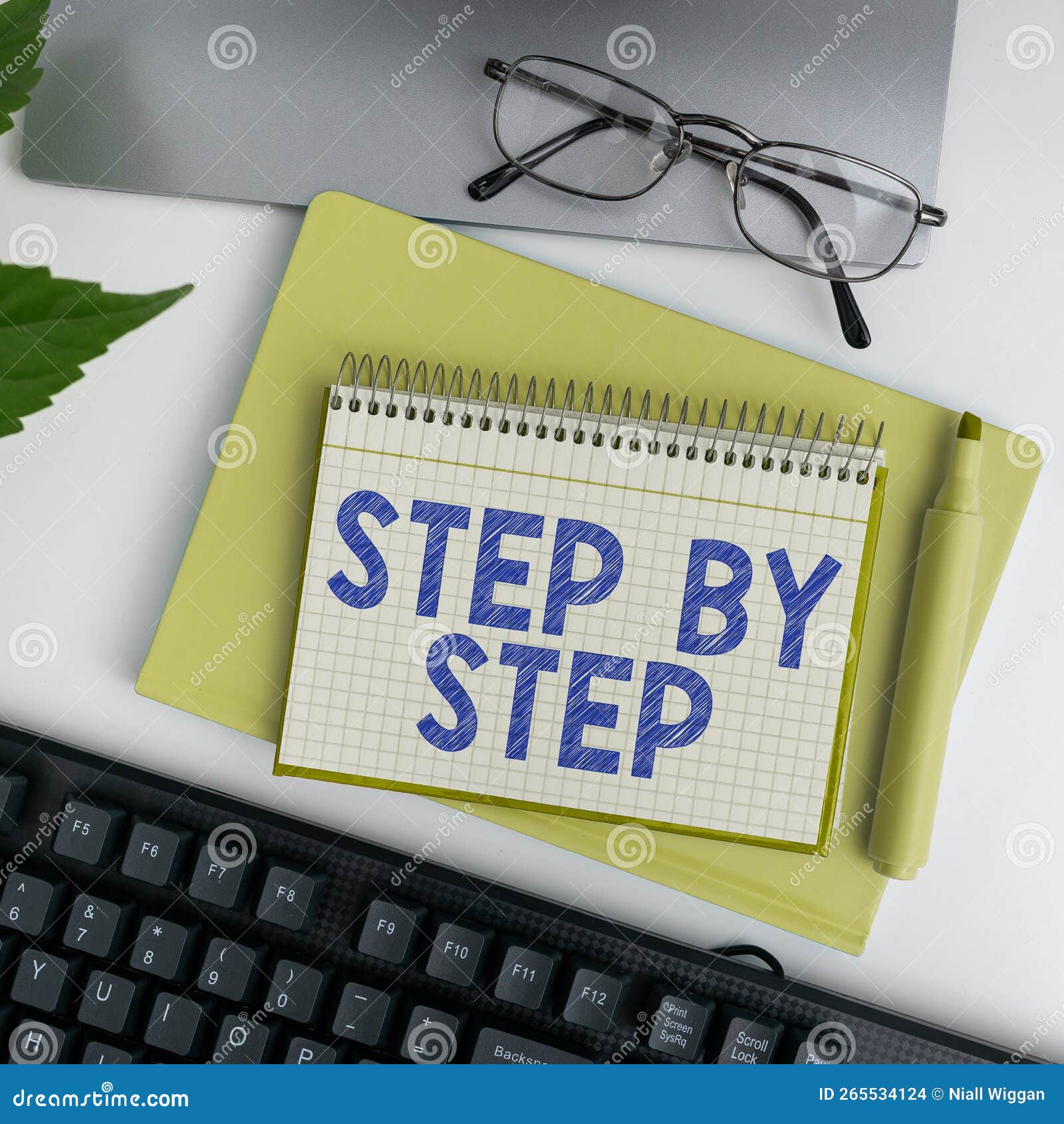 Conceptual Caption Step by Step. Word Written on Slow Progress Road To ...