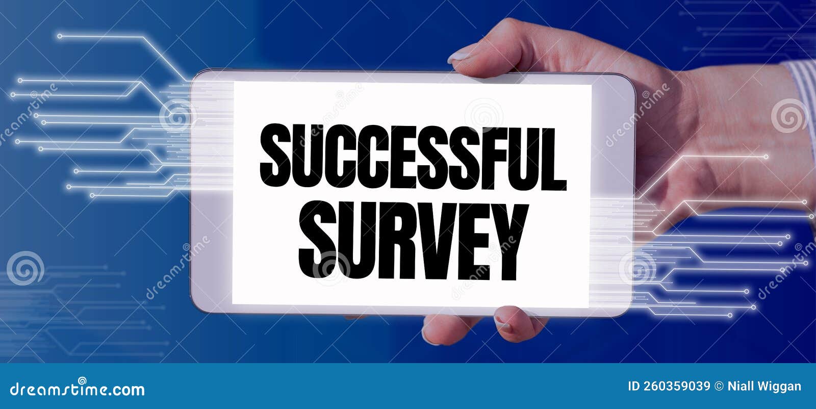 Conceptual Caption Successful Survey. Business Overview a Chronicle ... Conceptual Caption Successful Survey. Business Overview a Chronicle ...