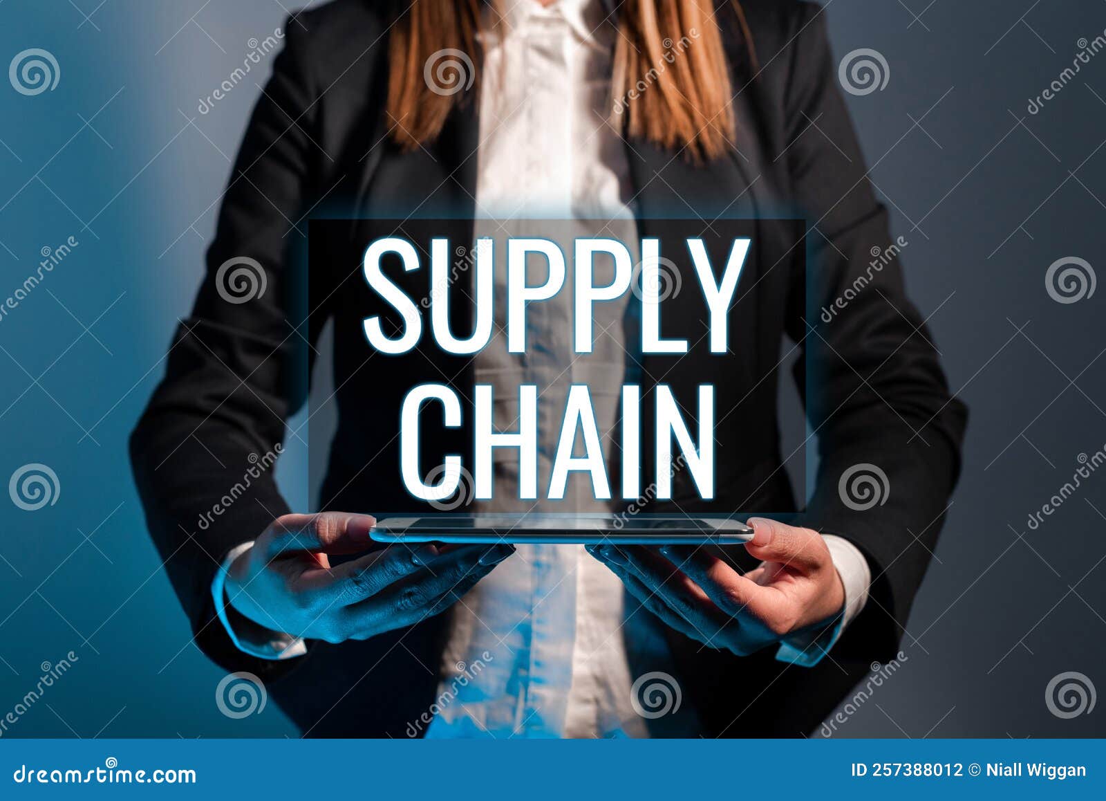 Conceptual Caption Supply Chain. Business Showcase System of ... Conceptual Caption Supply Chain. Business Showcase System of ...