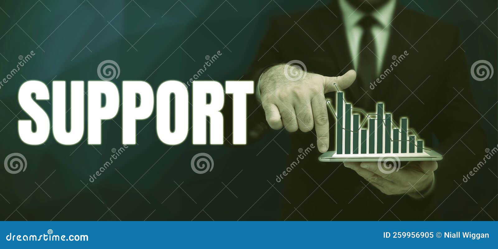 Text Showing Inspiration Support. Conceptual Photo Thing that Bears the ...